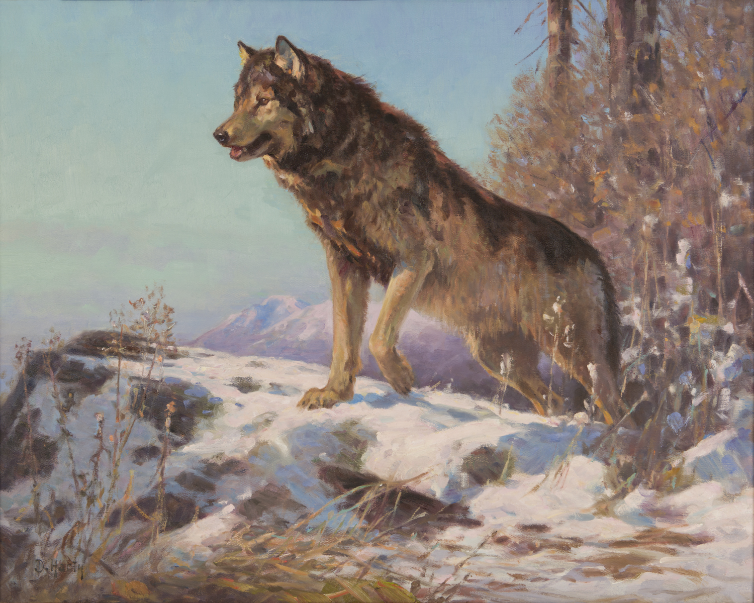 Dwayne Harty - Mountain Trails Gallery