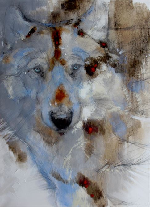 Amy Lay - Mountain Trails Gallery