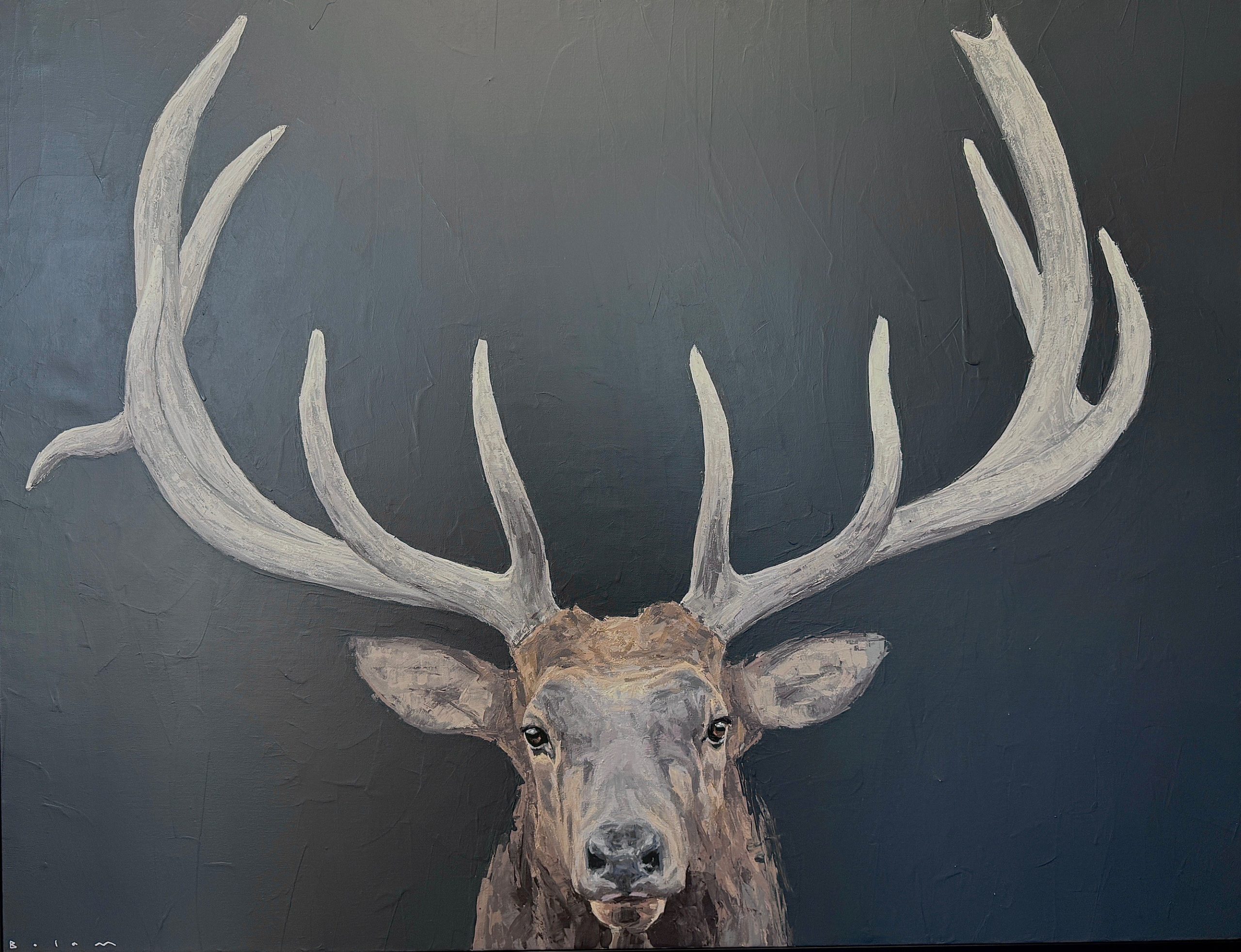 Andrew Bolam - Mountain Trails Gallery